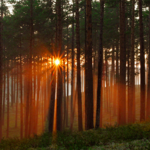 Integral Transformative Practice Guide | Integral Transformative Practice